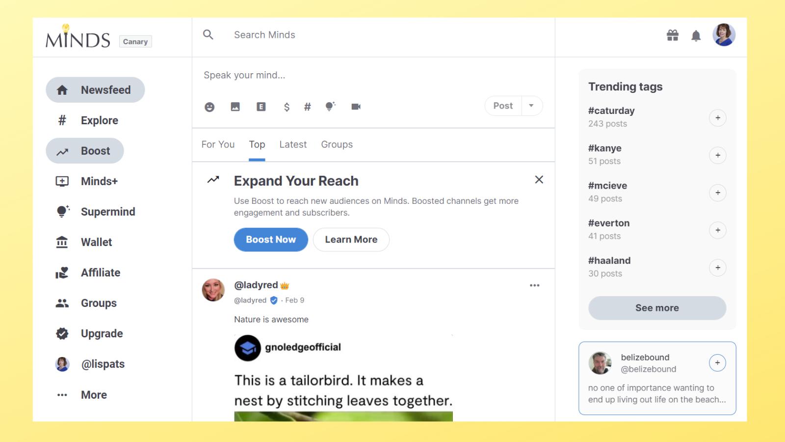 Decentralized Social Media in 2025: Revolution in Online Freedom